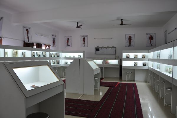 Kanachur Institute of Medical Sciences, Mangalore